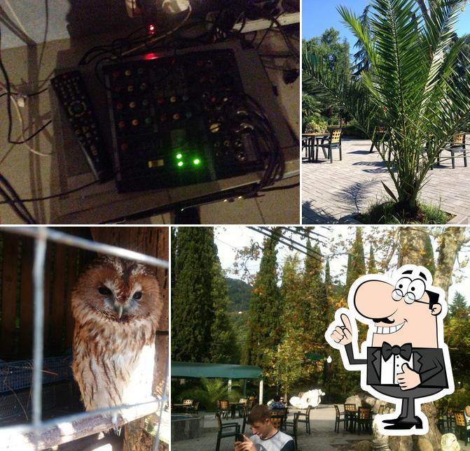 5 лучших ресторанов с уютной атмосферой в Новом Афоне, сентябрь 2025 ...