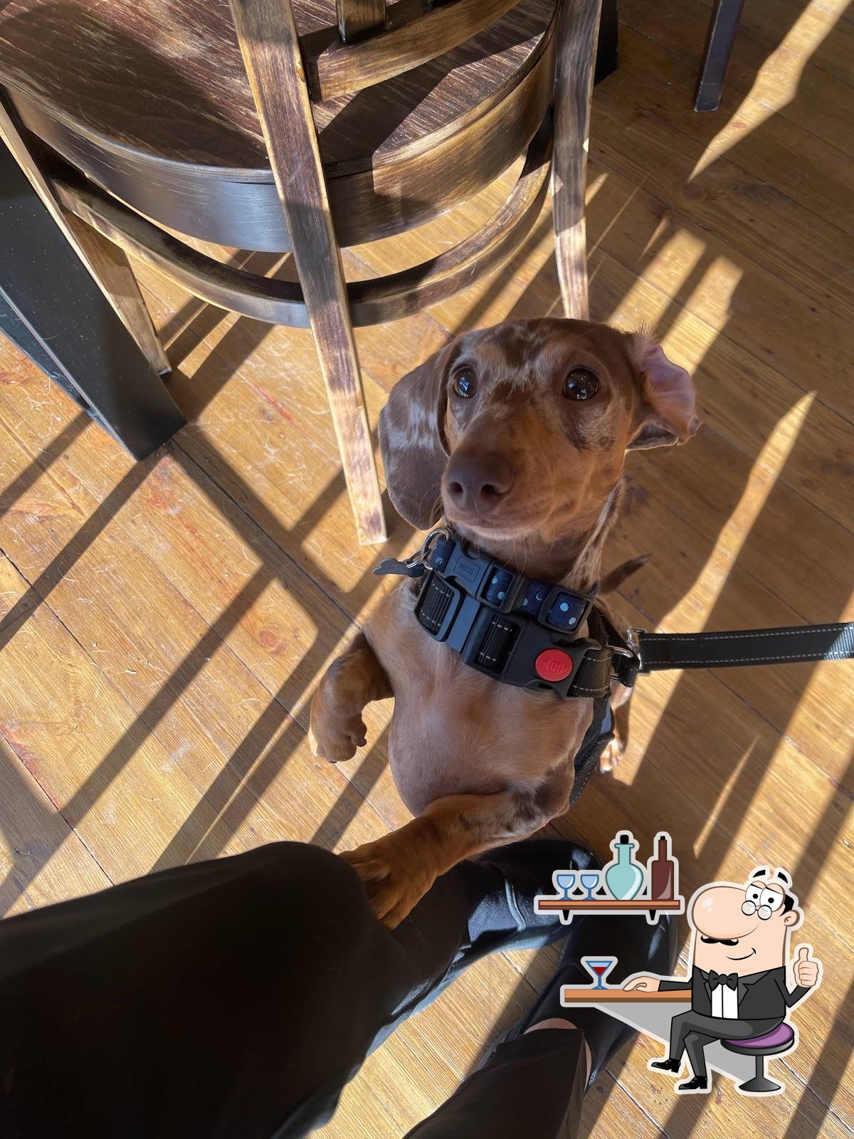 The Savvy Baker Cafe, Leeds - Restaurant menu, prices and reviews