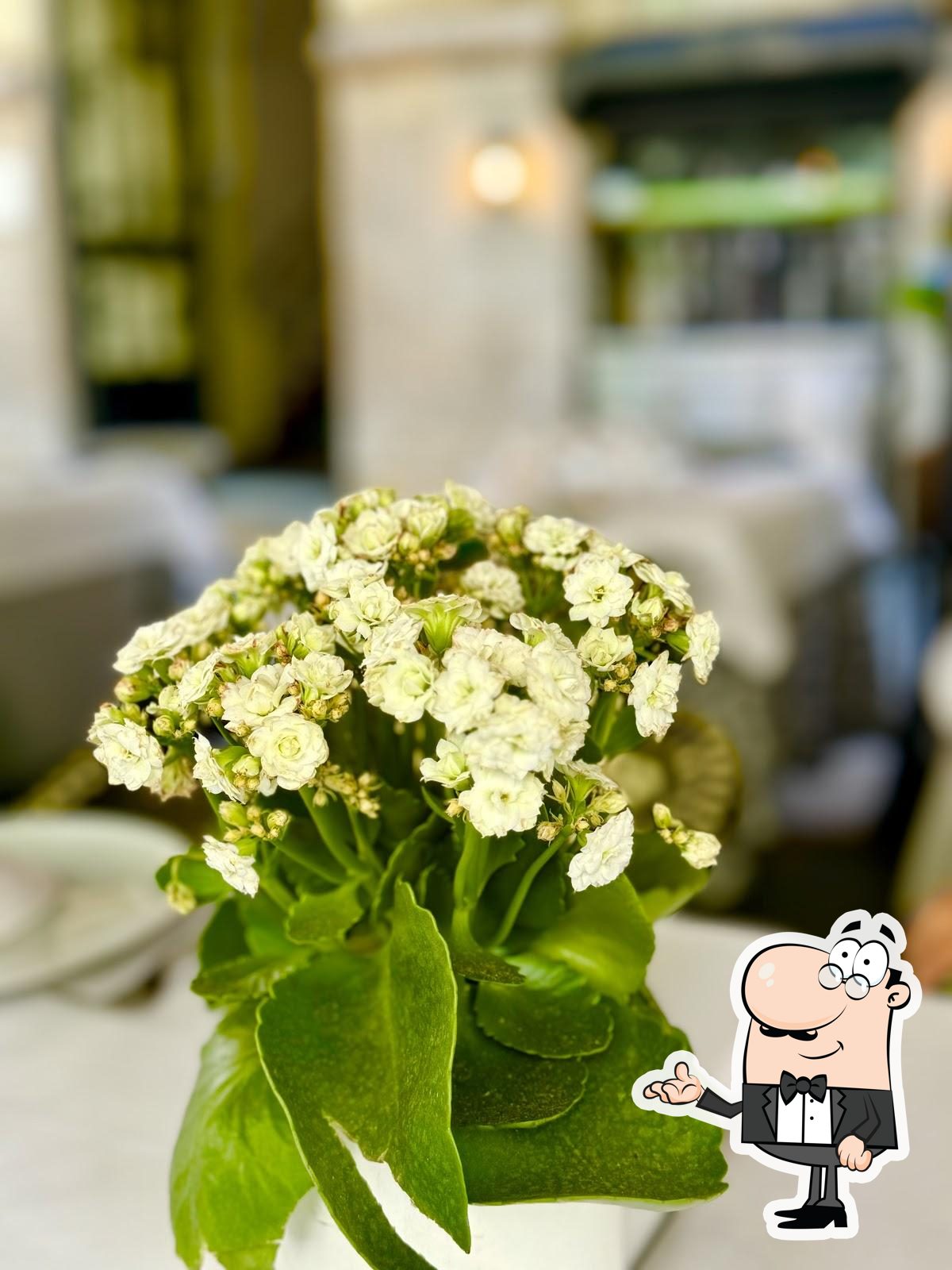 Hevia, Madrid - Menú del restaurante, precios y reseñas