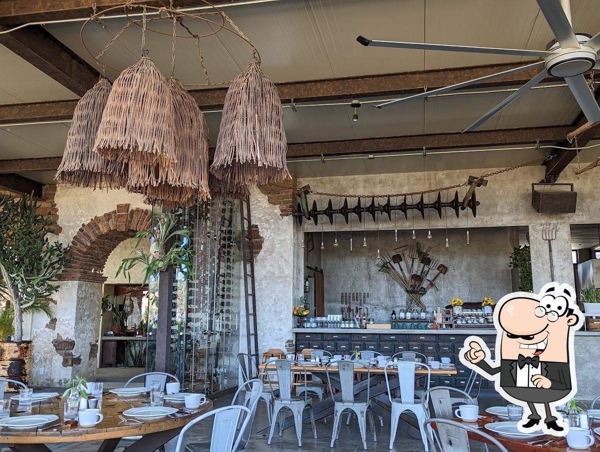 El Huerto Farm to Table, Cabo San Lucas - Restaurant menu, prices and ...