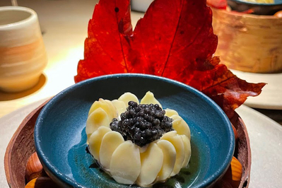 Noma, Copenhagen, Marmorkirken - Restaurant menu, prices and reviews