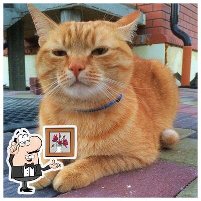 Jimmy The Greek, Toronto - Menu du restaurant, prix et avis