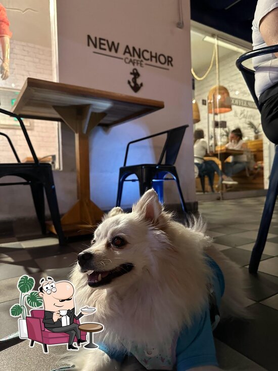 New Anchor Caffè, Cali - Restaurant menu, prices and reviews
