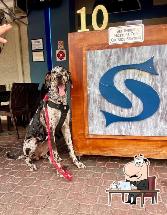 Pisces Sushi and Global Bistro, Dunedin - Restaurant menu, prices and ...