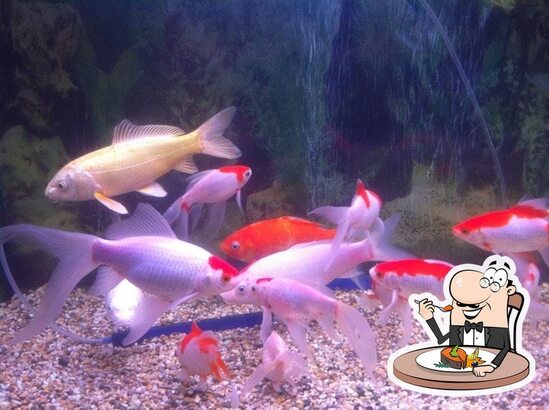 Ascot Fish Bar, Ascot - Restaurant menu, prices and reviews