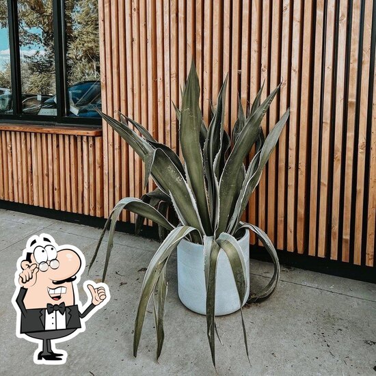 Macanda, Wayzata - Restaurant menu, prices and reviews