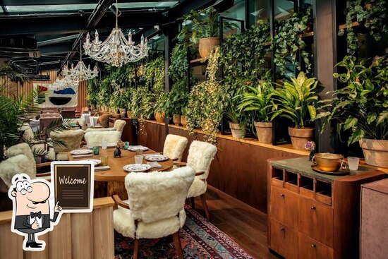 Меню ресторана Шави Ломи, Екатеринбург