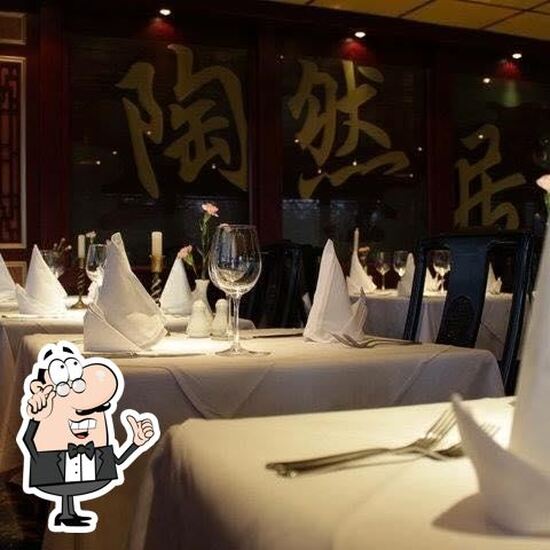 Mandarin Castle, Dublin - Restaurant menu, prices and reviews