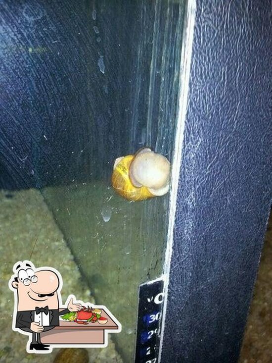 Full Stop Café Parkhurst, Johannesburg - Restaurant menu, prices and ...